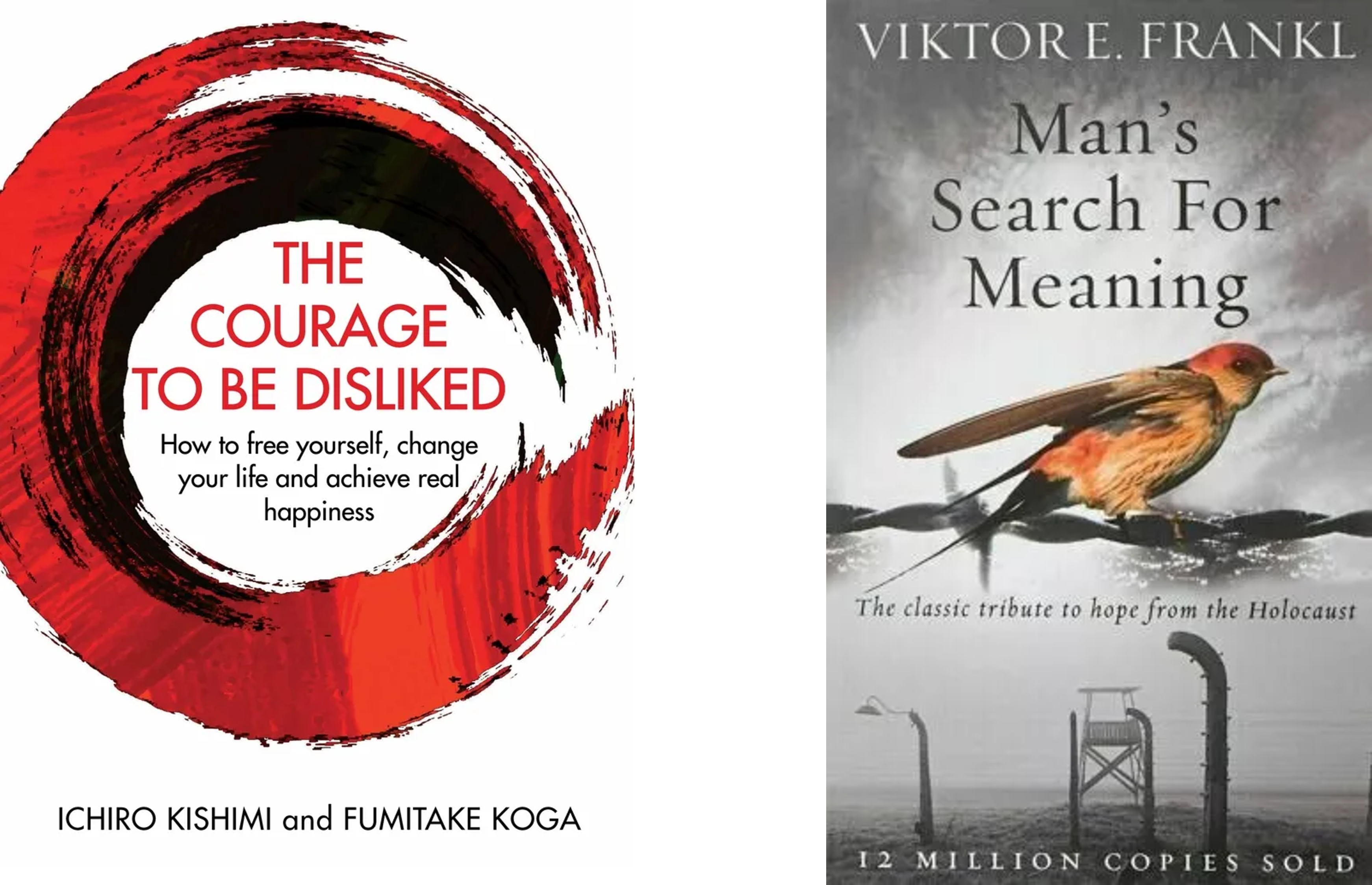 The denial & reality of trauma: a tale of two books – Grace + Truth